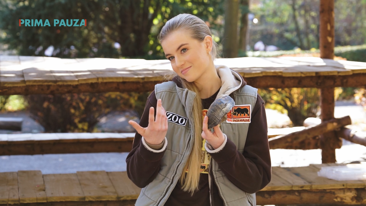 Nový seriál ZOO TV Prima s Evou Burešovou | Stream